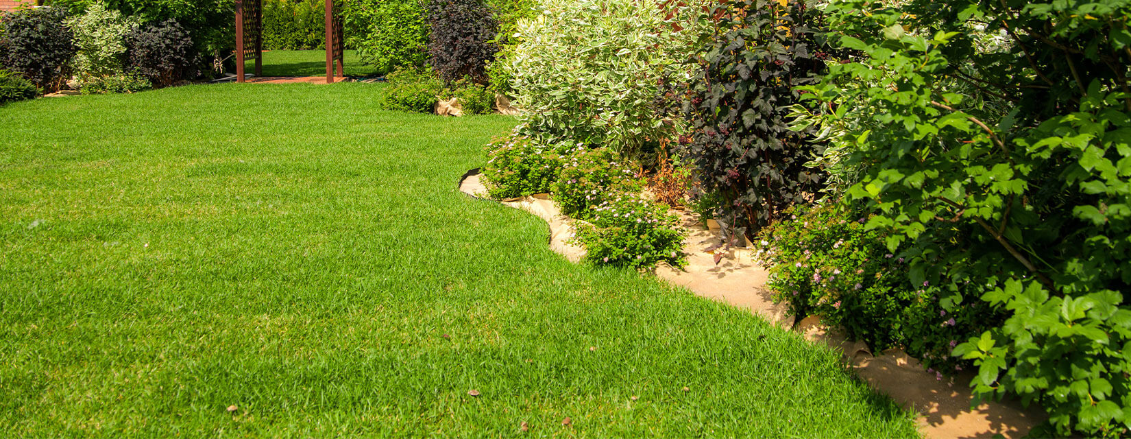 FAQs - Emerald Green Turf