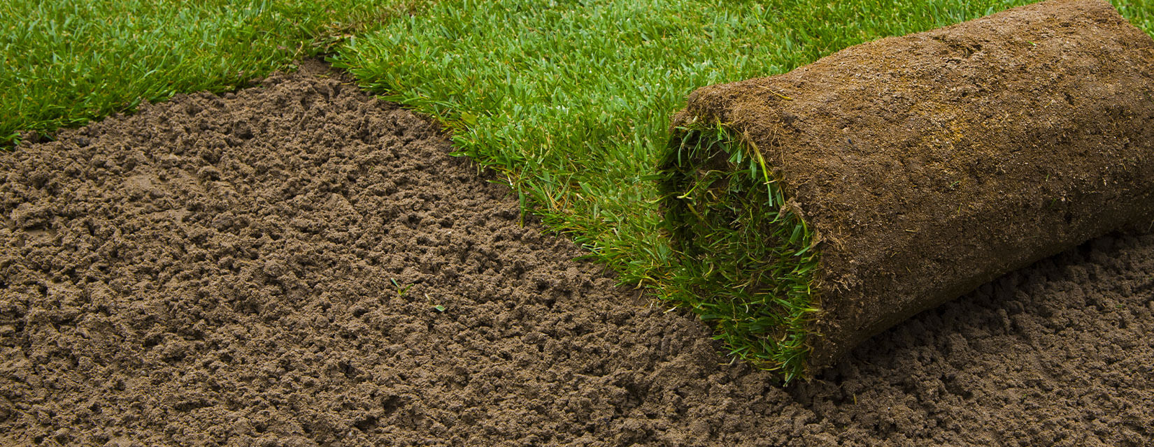 Installation of Lawn | Emerald Green Turf | Central Queensland